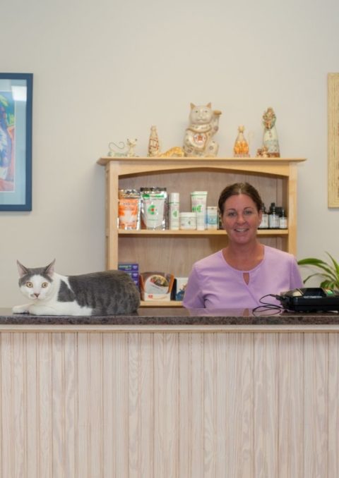 New Client Form | The Sound Cat Veterinary Hospital