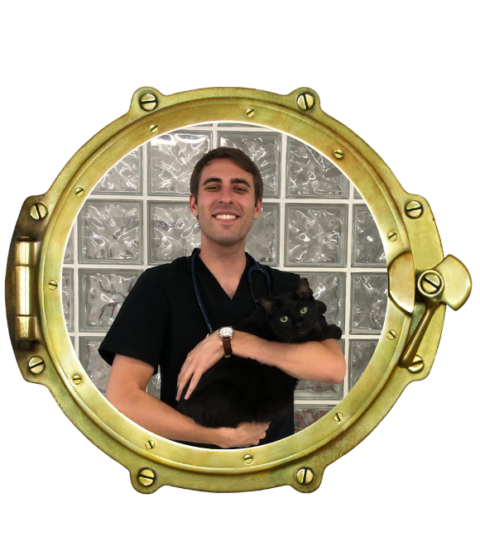 Veterinarian In Wilmington, NC | TSCVH